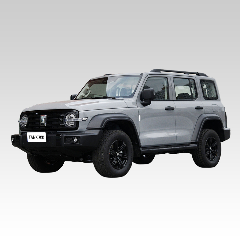 2024 Tank 300 2.0T Hardcore Off-road SUV Export Trade Company in China ...