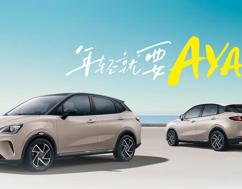 The New Compact EV Unveiled by Neta to Replace Neta V - Auto in China