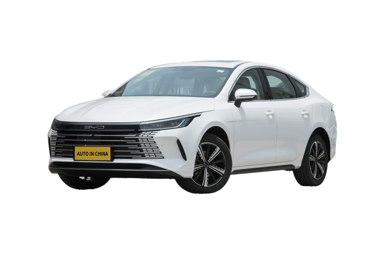 2024 Best BYD Electric Cars in China Purchasing Guide - Auto in China