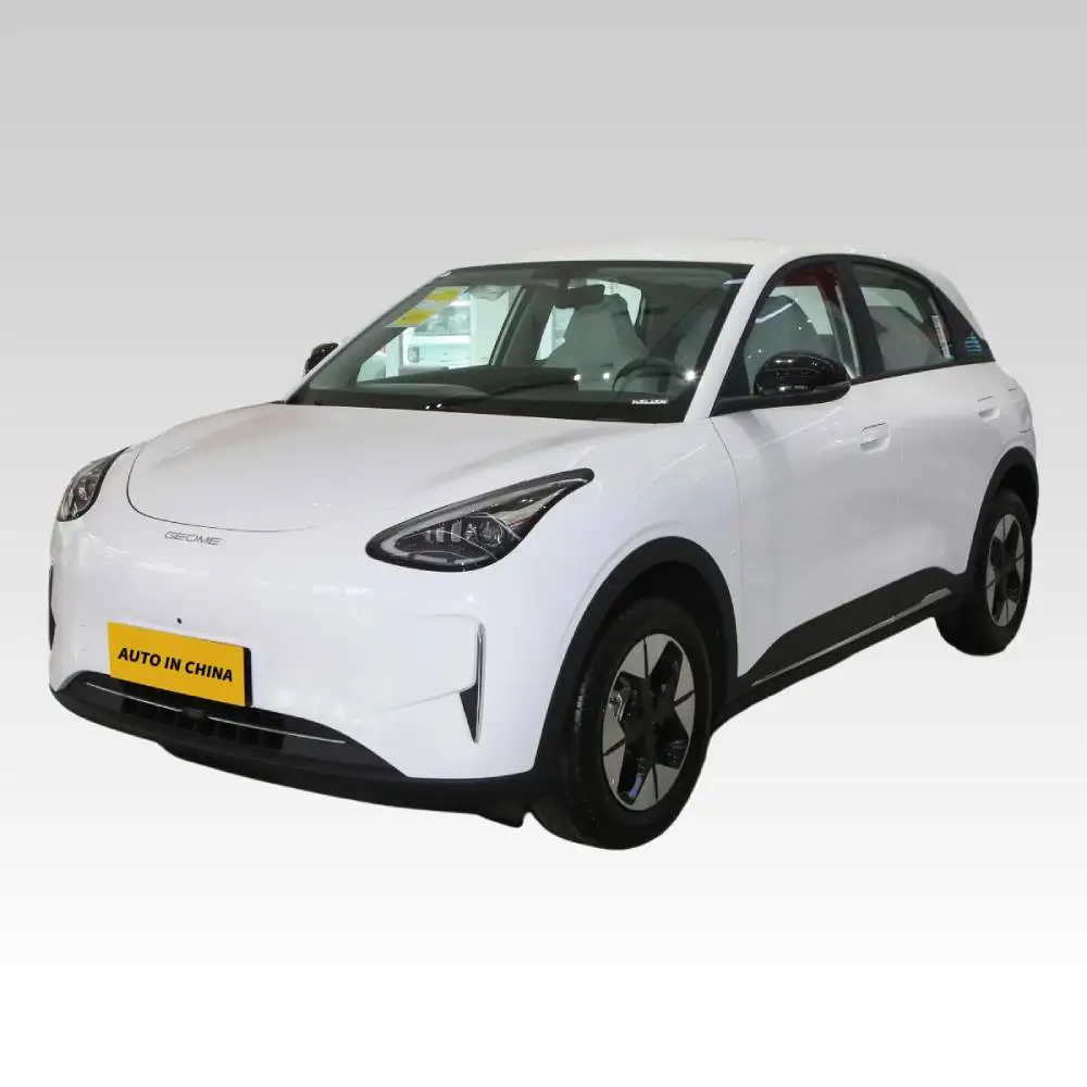 2025 Geely GEOME Xingyuan 310KM/410KM Car Trader From China - Auto in China