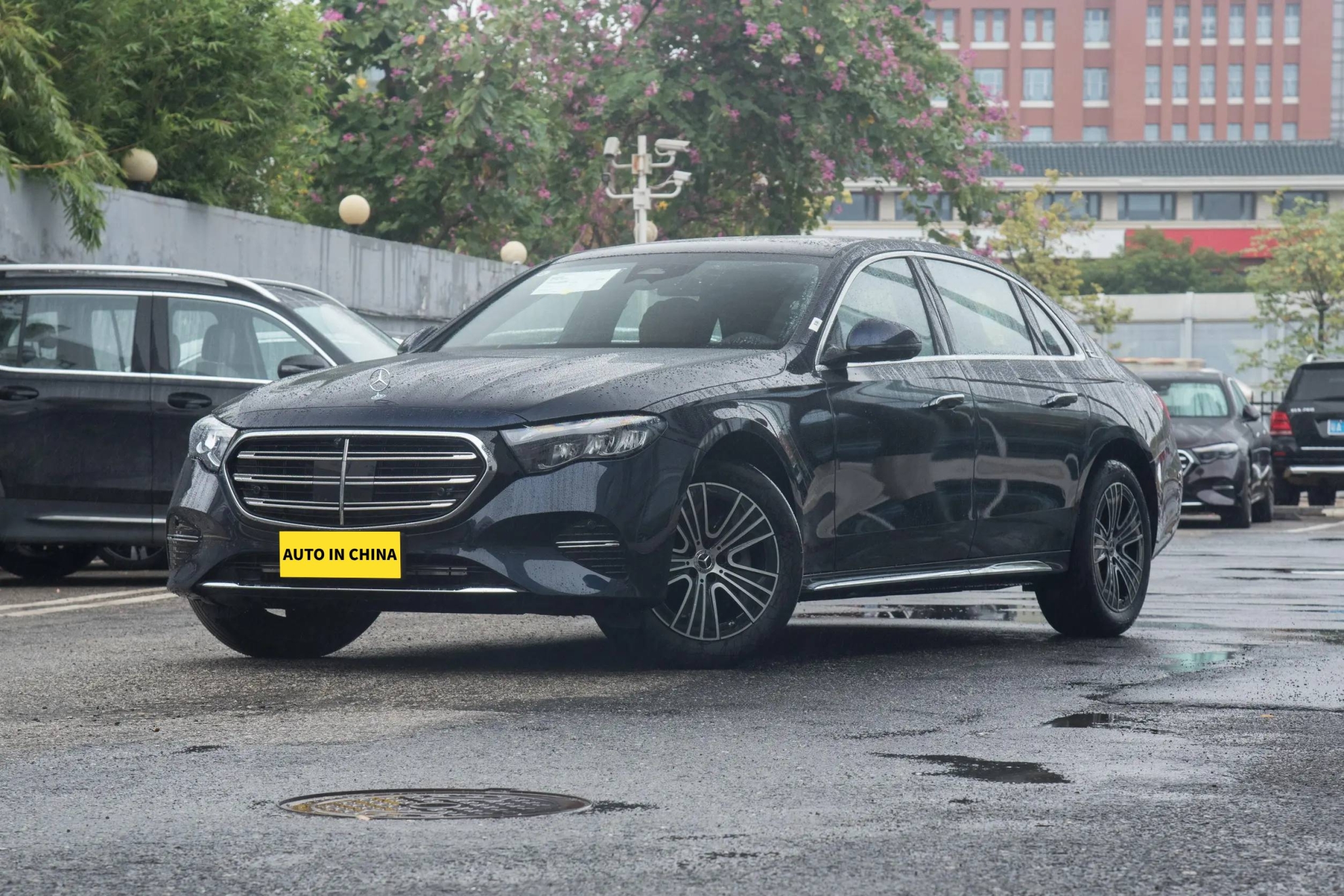 2025 Mercedes-Benz E260L 2.0T 204 hp L4 48V mild hybrid China Car ...