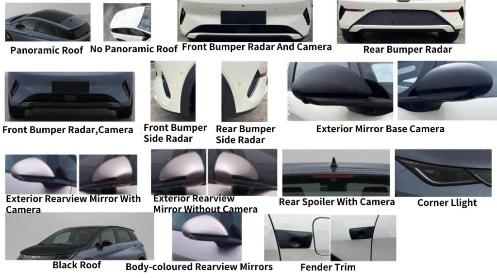 New BYD Dolphin Electric Hatchback: Updated Specs Revealed - Auto in China