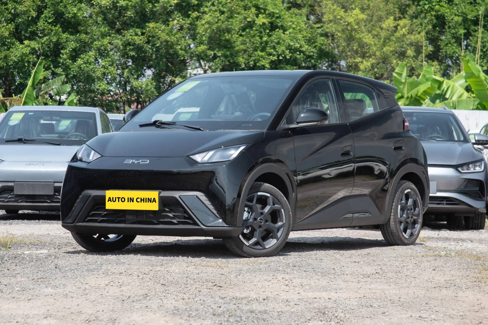 2025 BYD Seagull 305/405KM Vitality Freedom Flying Edition Car Trader ...