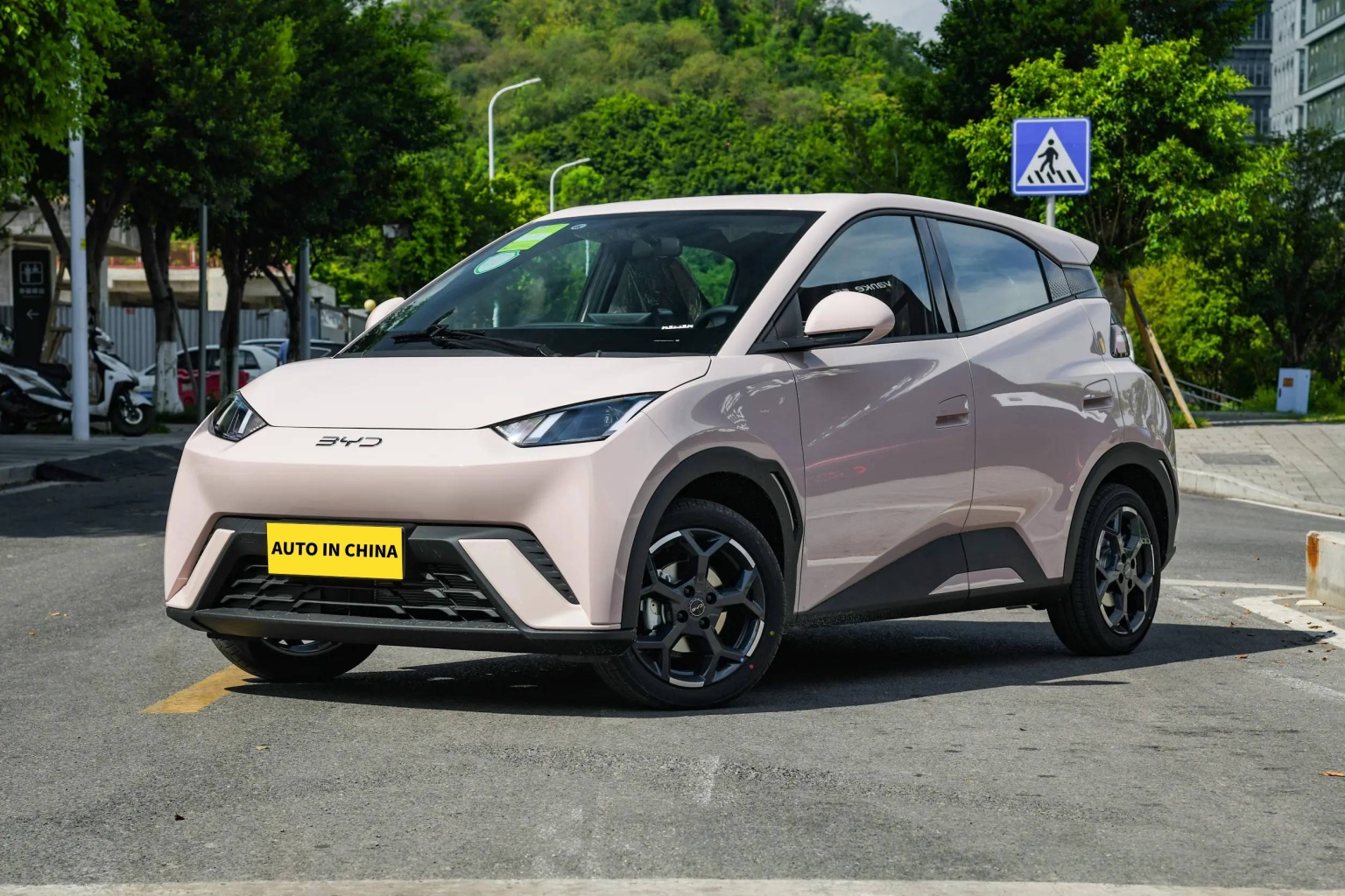 2025 BYD Seagull 305/405KM Vitality Freedom Flying Edition Car Trader ...