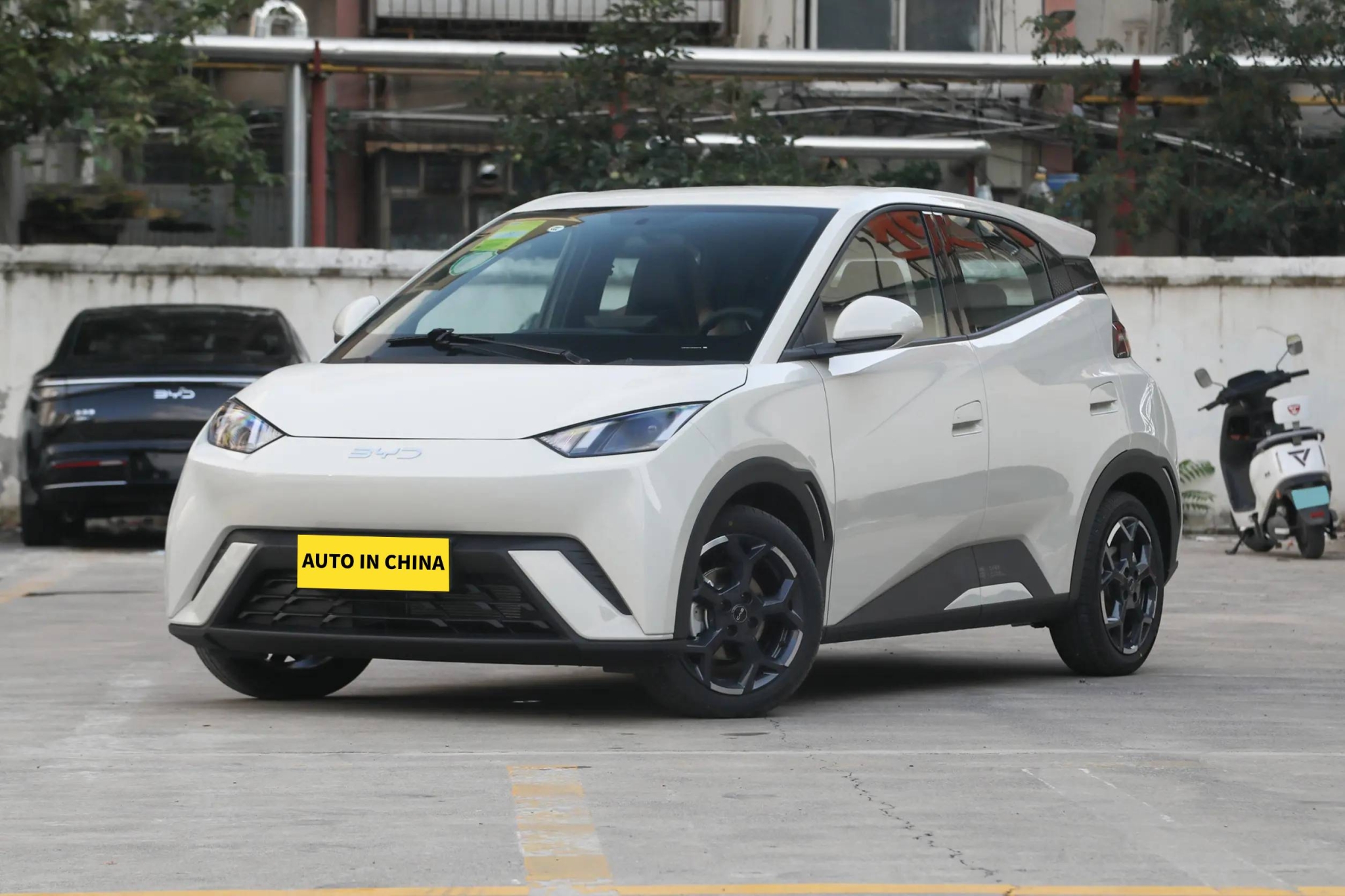 2025 BYD Seagull 305/405KM Vitality Freedom Flying Edition Car Trader ...